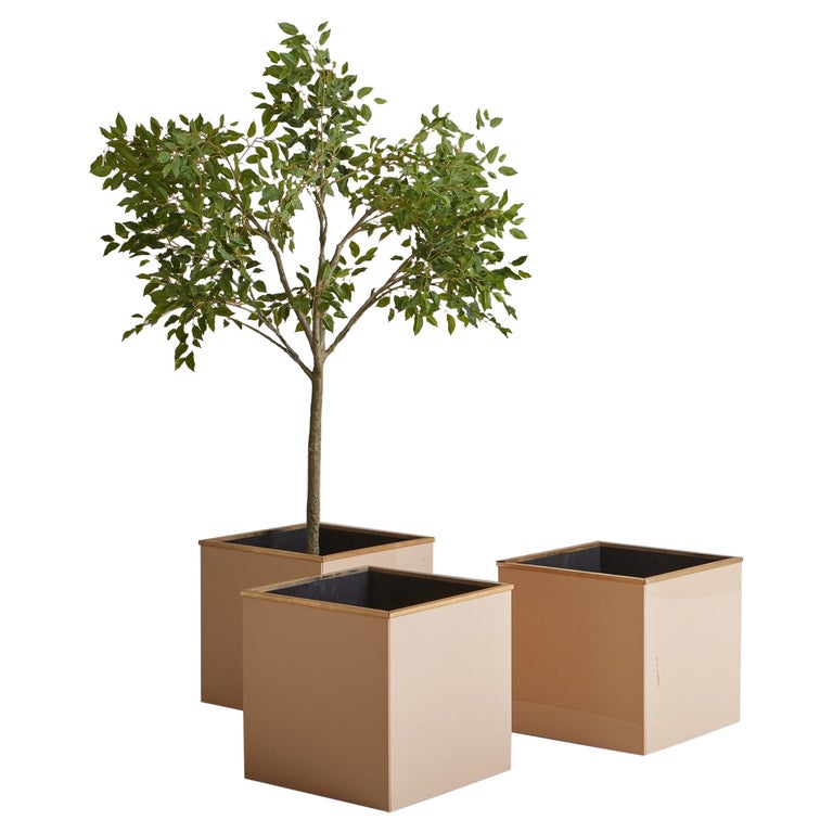 Set of 3 Lacquer + Brass Cube Planters, France, 1970s For Sale at 1stDibs
