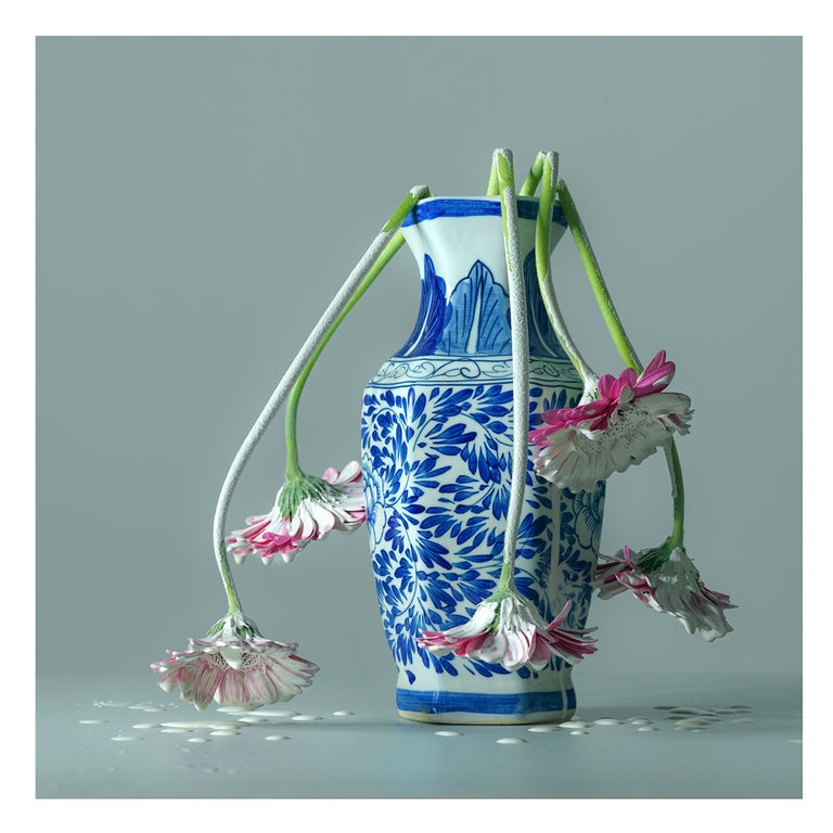 Deborah Murdoch x Garthivan Fine Art Fotografie Blumenblüten Nr.11 im ...