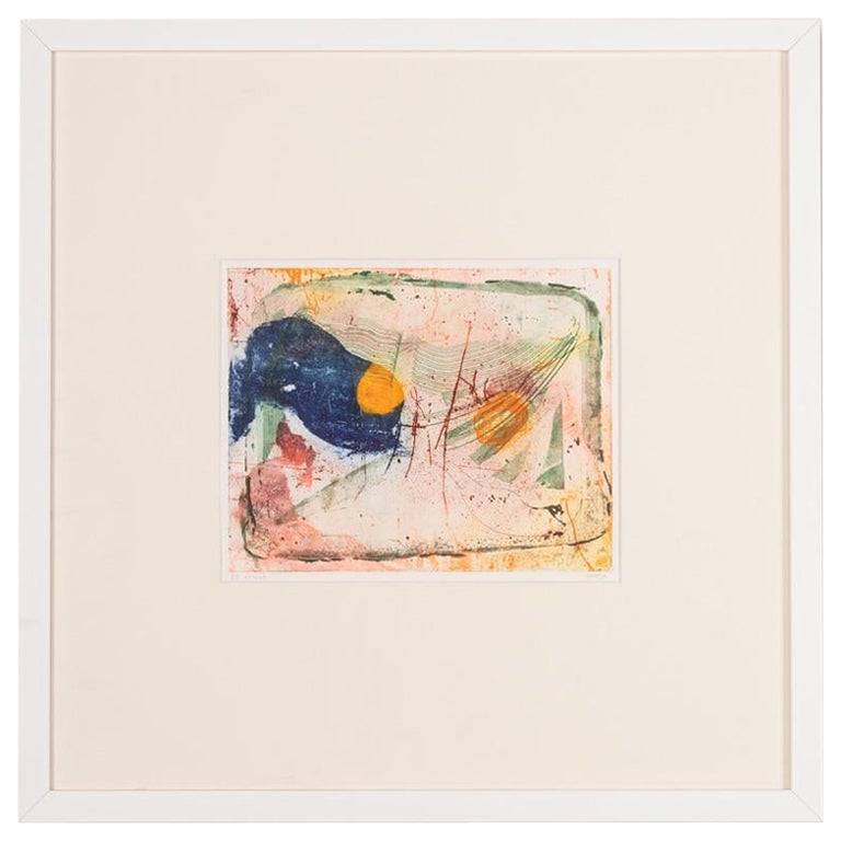 "Sunset" by Marian Zult Color Etching on Paper Framed For Sale at 1stDibs