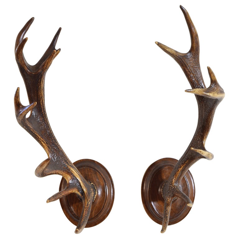 Pair Continental Antler Mounts on Shaped Backplates For Sale at 1stDibs