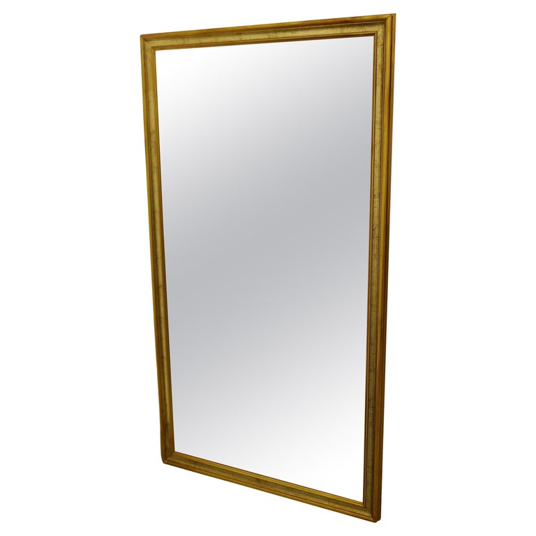 Decorative Long Gilt Dressing Mirror For Sale at 1stDibs