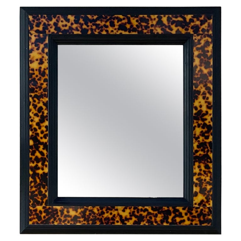 Turtle Shell Lucite Faux Framed Turtle Mirror For Sale at 1stDibs