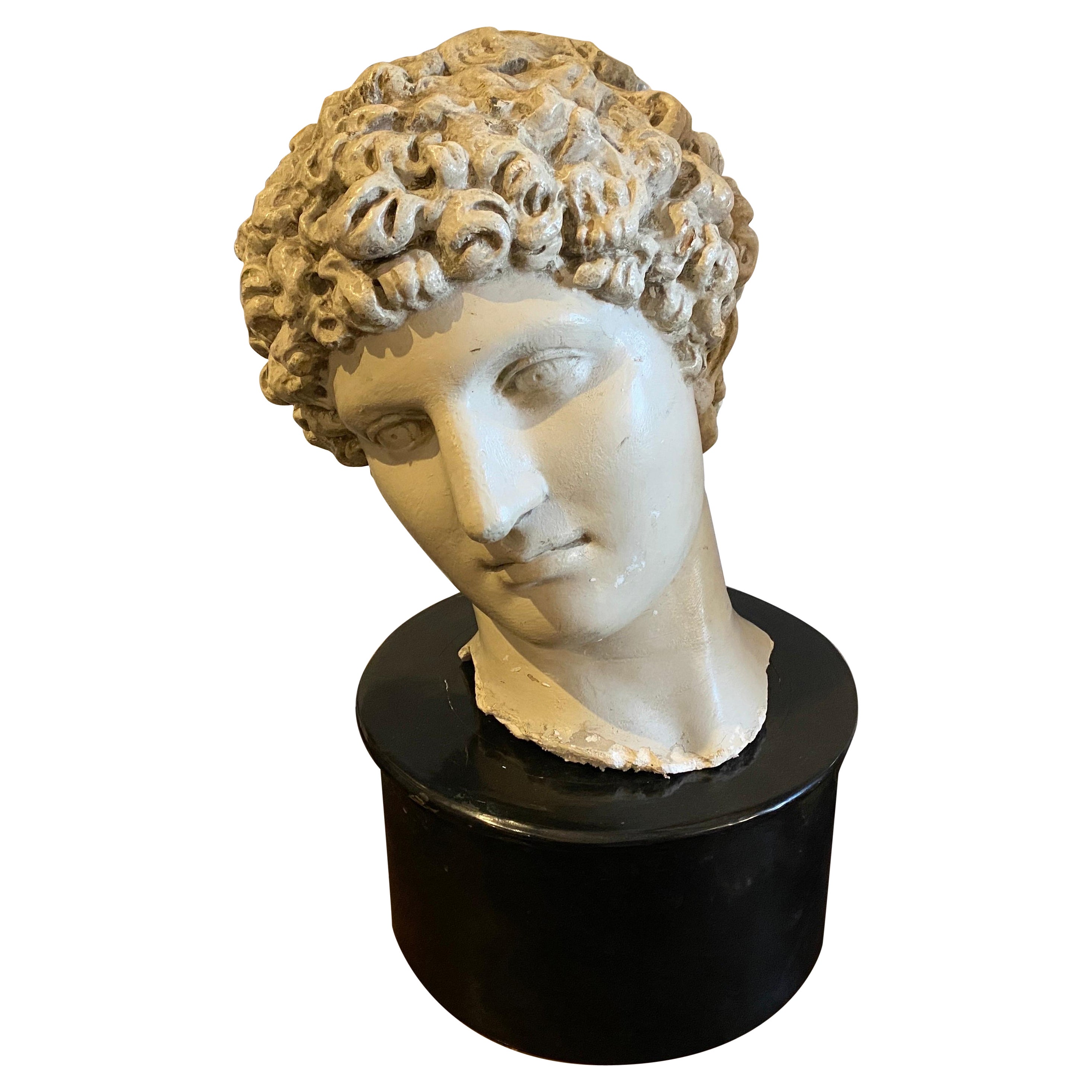 Plaster Head of Apollo at 1stDibs