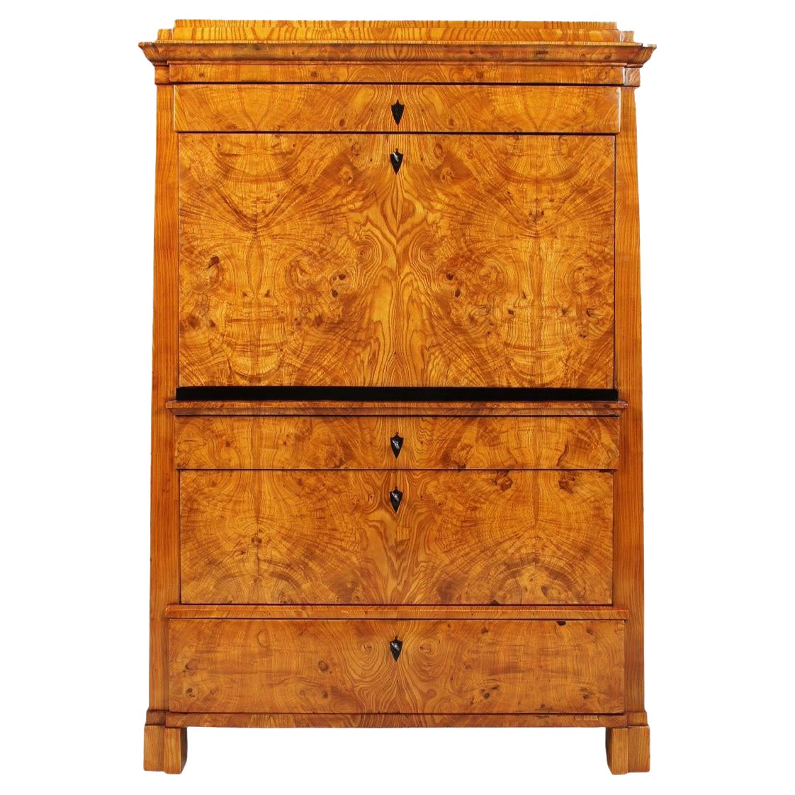 German Biedermeier Secretary circa 1820 Mahogany For Sale at 1stDibs