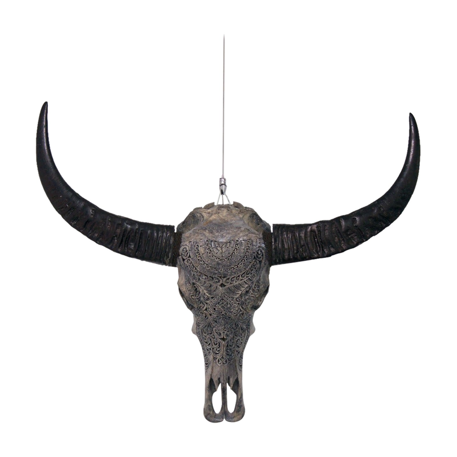 Large Water Buffalo Skull Sumatra Indonesia at 1stDibs