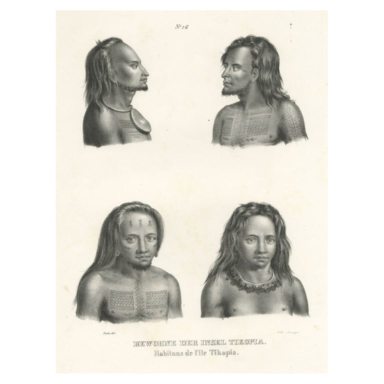 Antique Print of Tattooed Natives of Tikopia, Solomon Islands For Sale ...