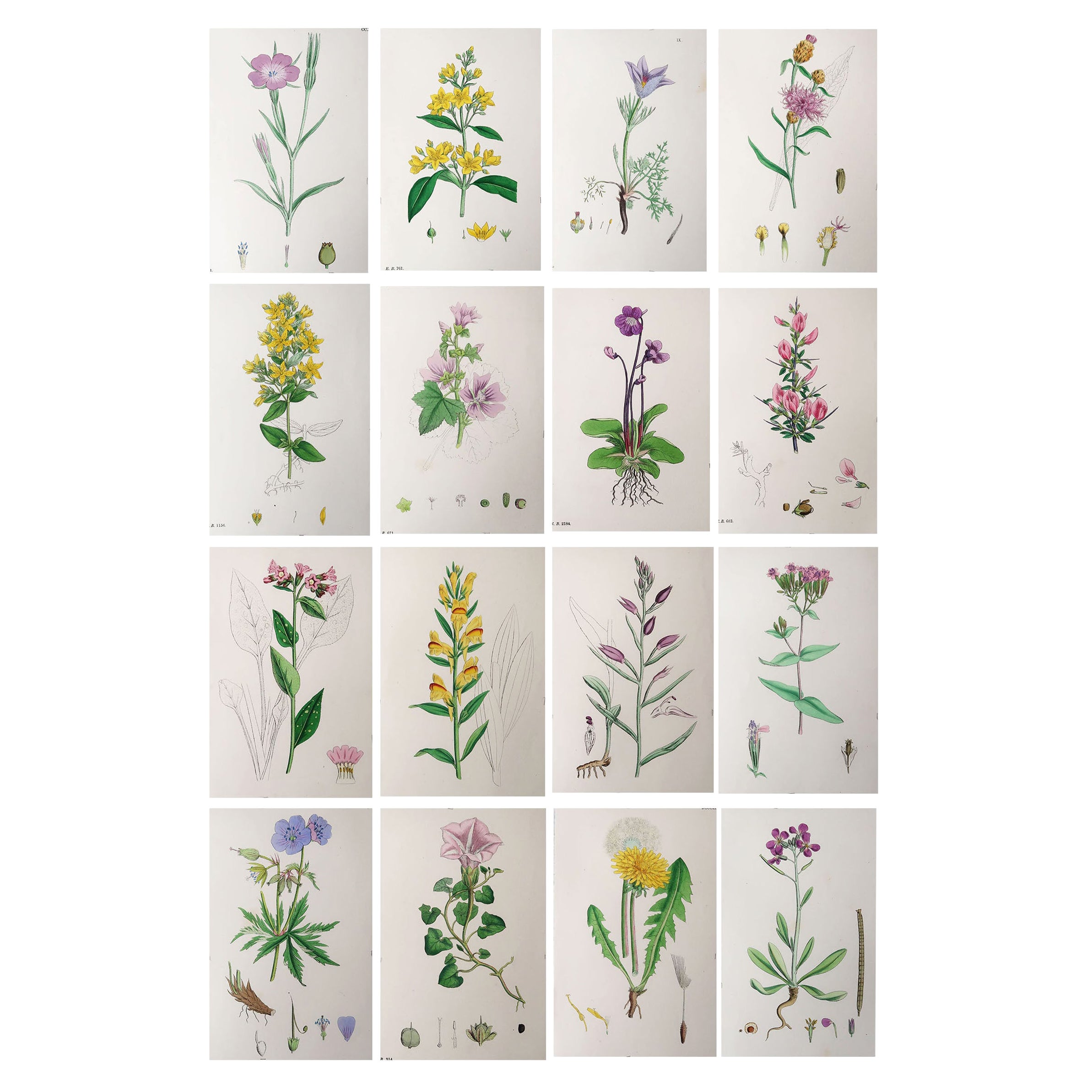 Antique Print of Javanese Woman Selling Ketupat by Van Pers 'circa 1850 ...