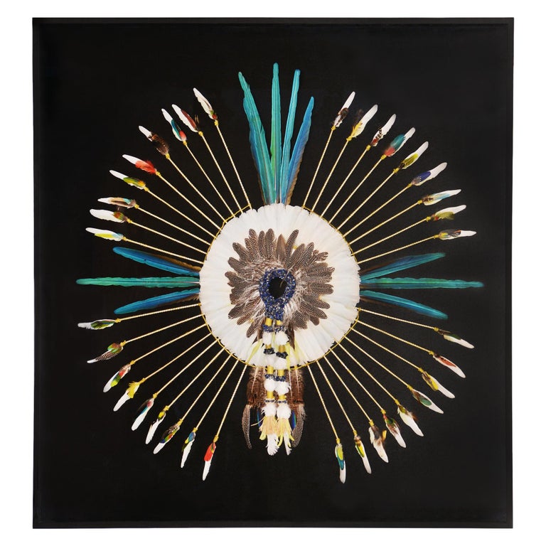 Indian Tribe Kayapo Headdress For Sale at 1stDibs