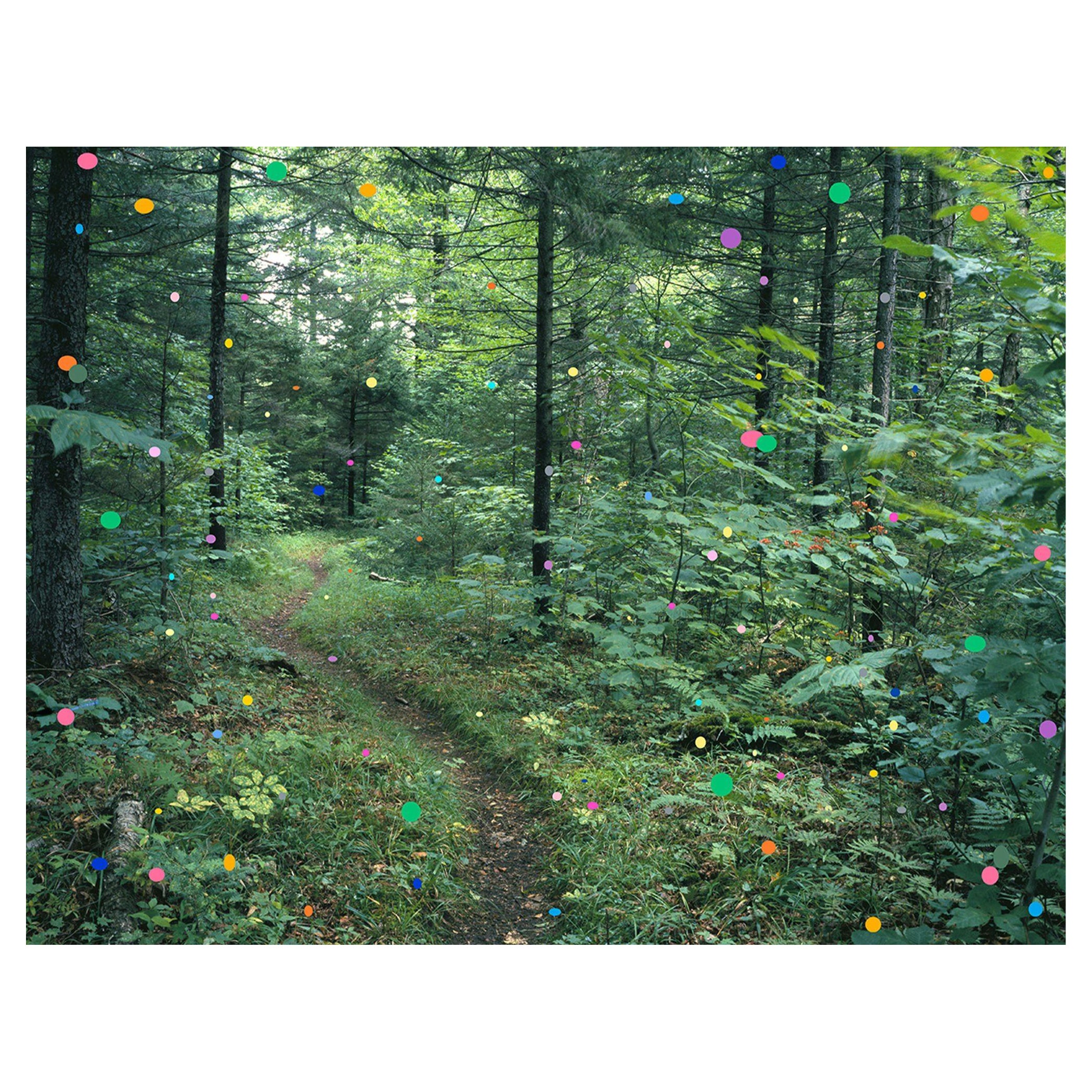 A Pair of Carved 19th Century Trophy Heads at 1stDibs