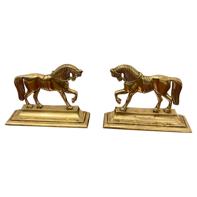 Unusual Pair of Antique Victorian Brass Door Stops For Sale at 1stDibs