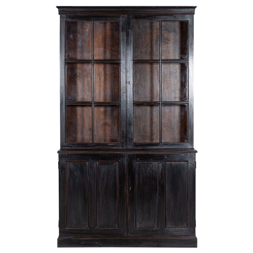 Tall French Painted and Glazed Shallow Display Cabinet at 1stDibs