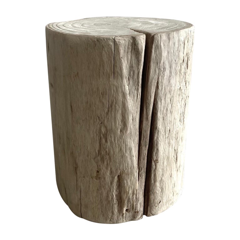 Natural Wood Stump Side Table or Stool For Sale at 1stDibs