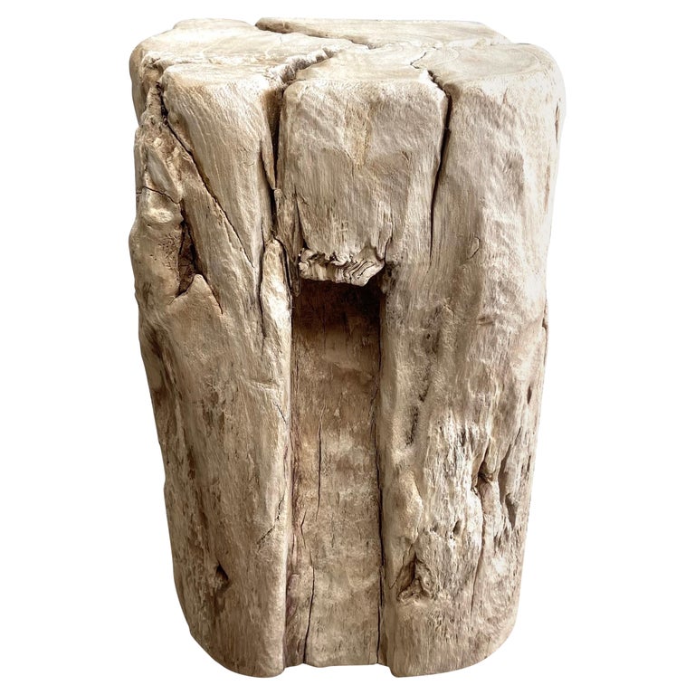 Natural Wood Stump Side Table or Stool For Sale at 1stDibs