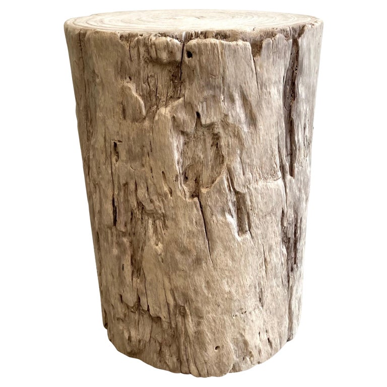 Natural Wood Stump Side Table or Stool For Sale at 1stDibs