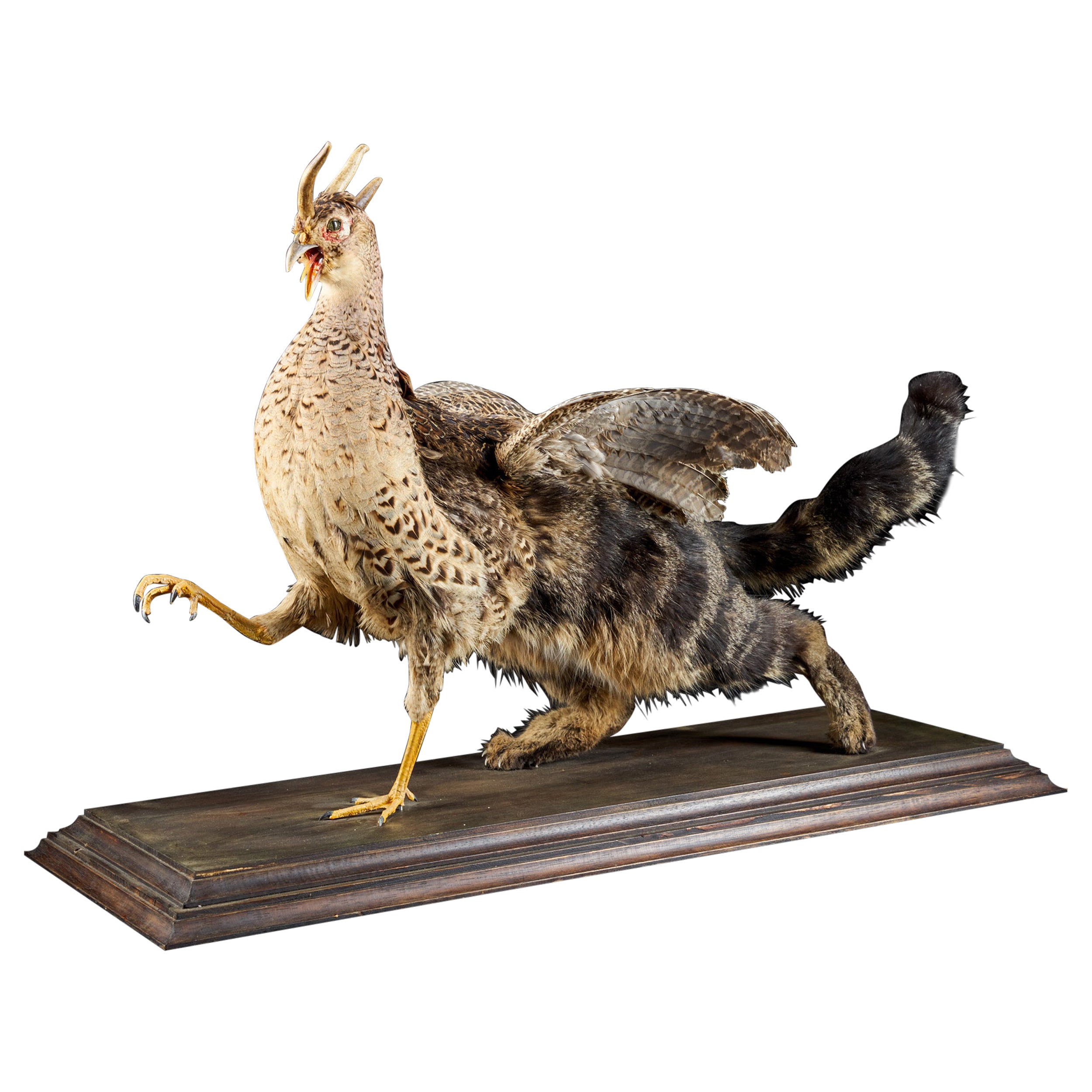 Four Legged Amazing Chimera Cat Composition For Sale at 1stDibs