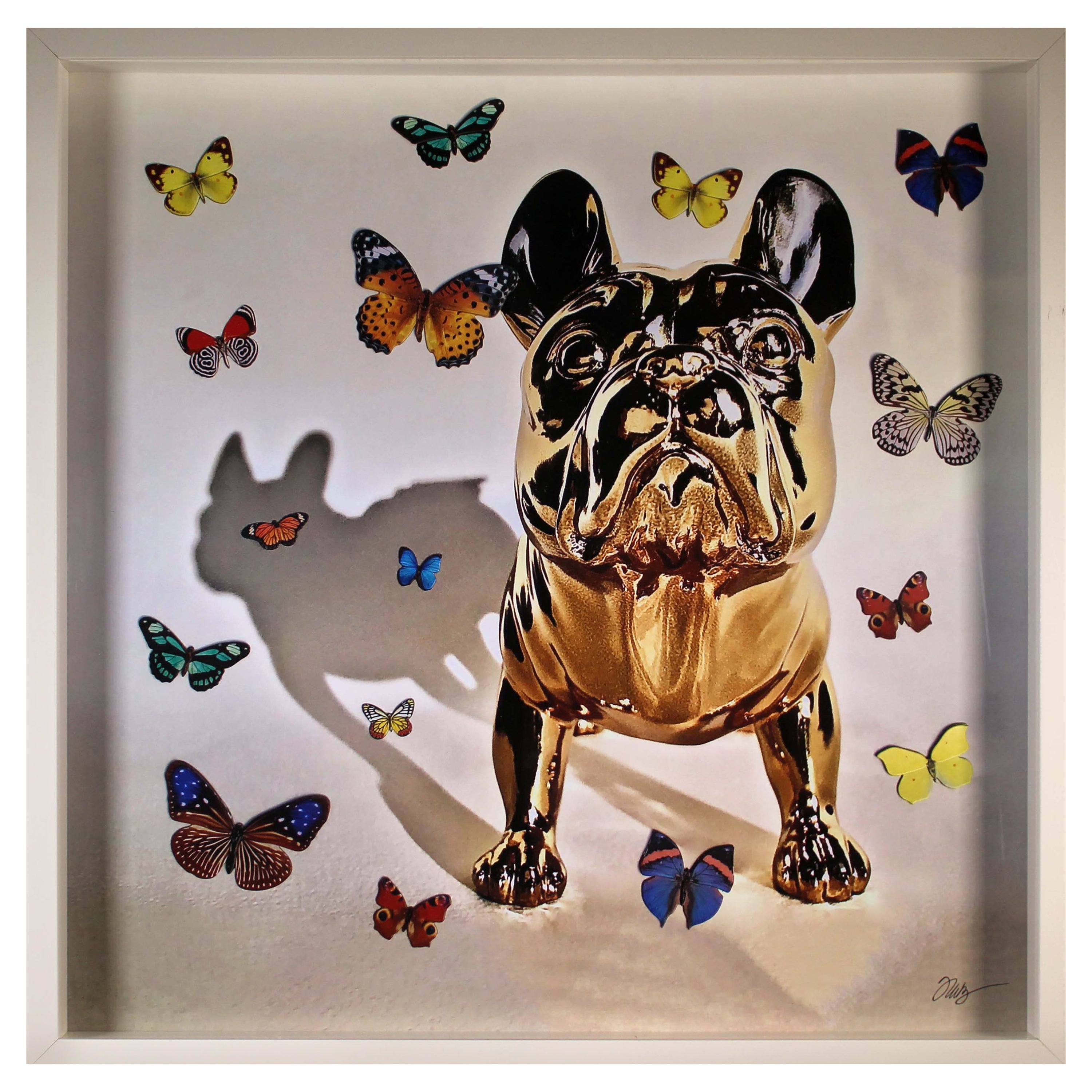 Frenchie Shadowbox Print Blue Splatter Paint Signed Krista Reay Berman ...