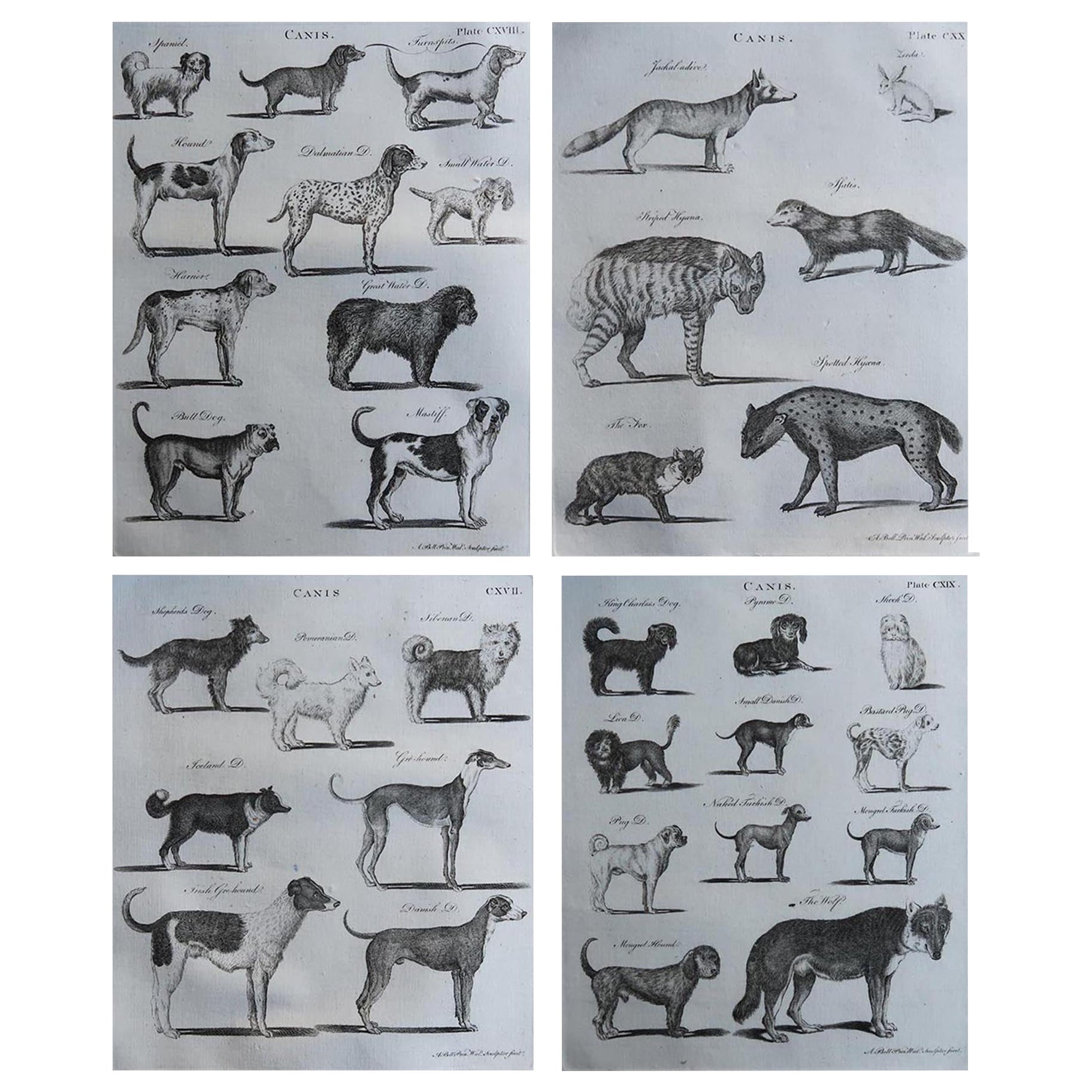 Antique Print of Brahma 'Bruma, Brama' by B. Picart, 1723 For Sale at ...