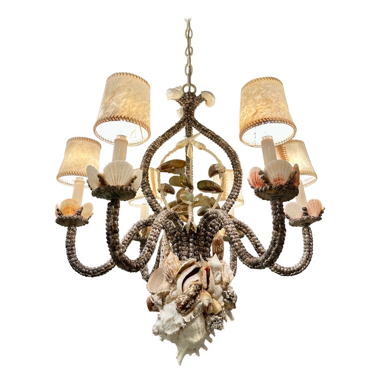Vintage Natural Seashells Encrusted Chandelier For Sale at 1stDibs