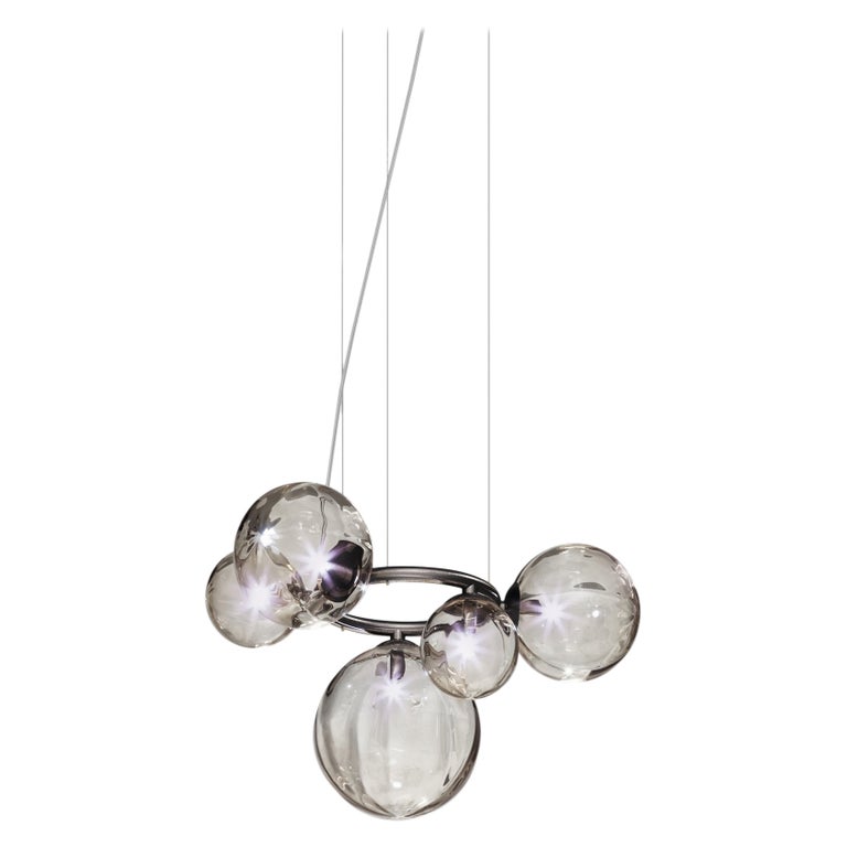 Vistosi Puppet Ring SP5 Pendant Light in Smoky Transparent and Matt ...