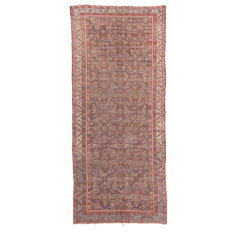 Beautiful European Sized Ancient Rug, 1920's For Sale at 1stDibs