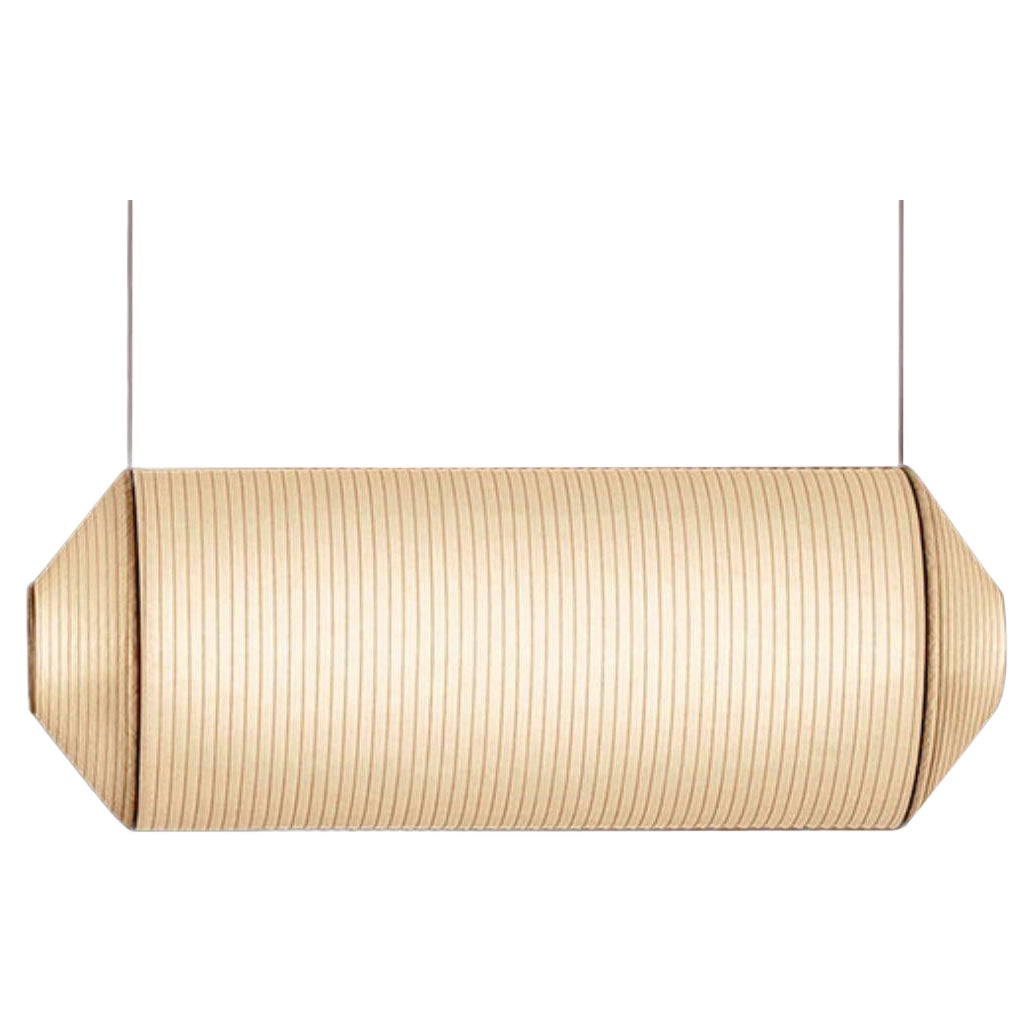 Modern One-of-a-kind Handmade Japanese Washi Paper LED Pendant Lamp ...