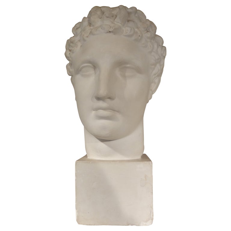 French Plaster Bust of a Classical Roman Male For Sale at 1stDibs