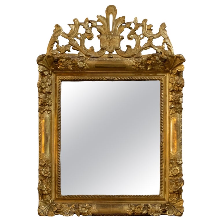 French Oakwood Framed Mirror For Sale at 1stDibs
