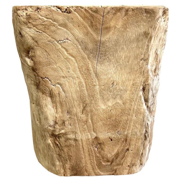 Natural Wood Stump Side Table or Stool For Sale at 1stDibs