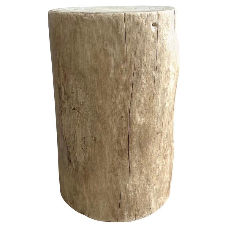 Natural Wood Stump Side Table or Stool For Sale at 1stDibs