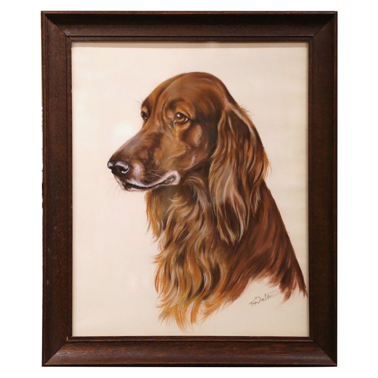 19th Century English Framed Pastel Drawing of Irish Setter Signed F ...