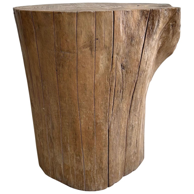 Natural Wood Stump Side Table or Stool For Sale at 1stDibs