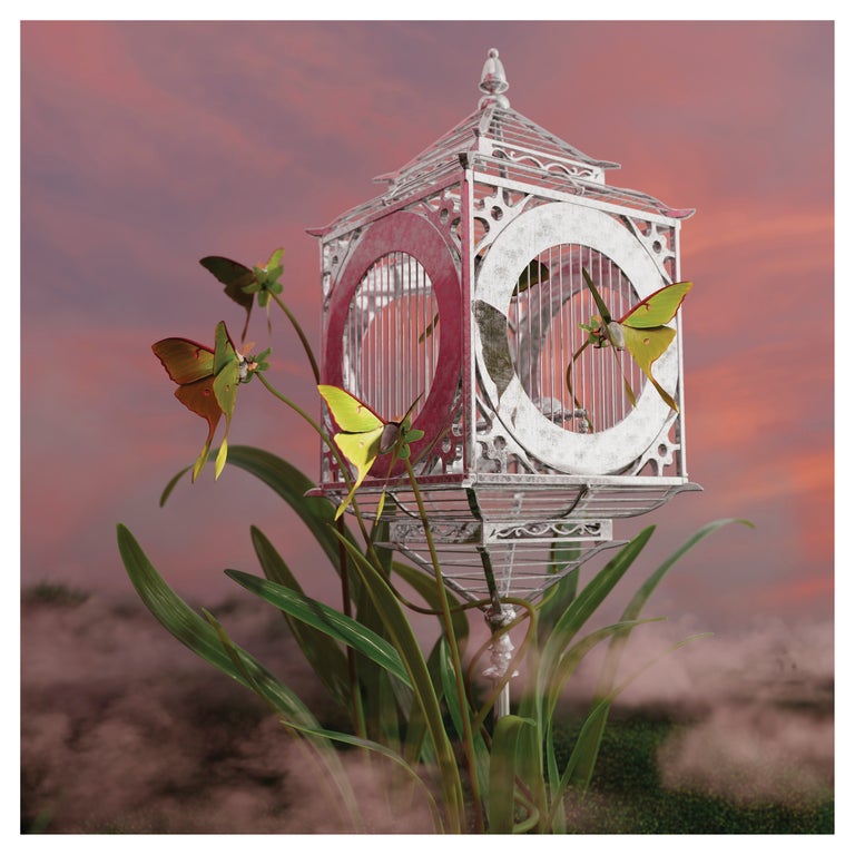 Moooi Extinct Animals Collection Mimic Moth by Ada Sokół For Sale at ...