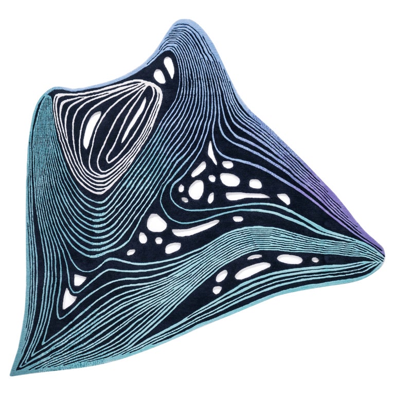 Rug Solaris Modern Dressing Room Hand-Knotted Wool, in Stock For Sale ...