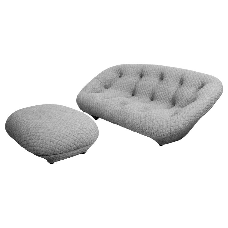 Ploum 3 seater Sofa and Ottoman by E. and R. Bouroullec for Ligne Roset ...