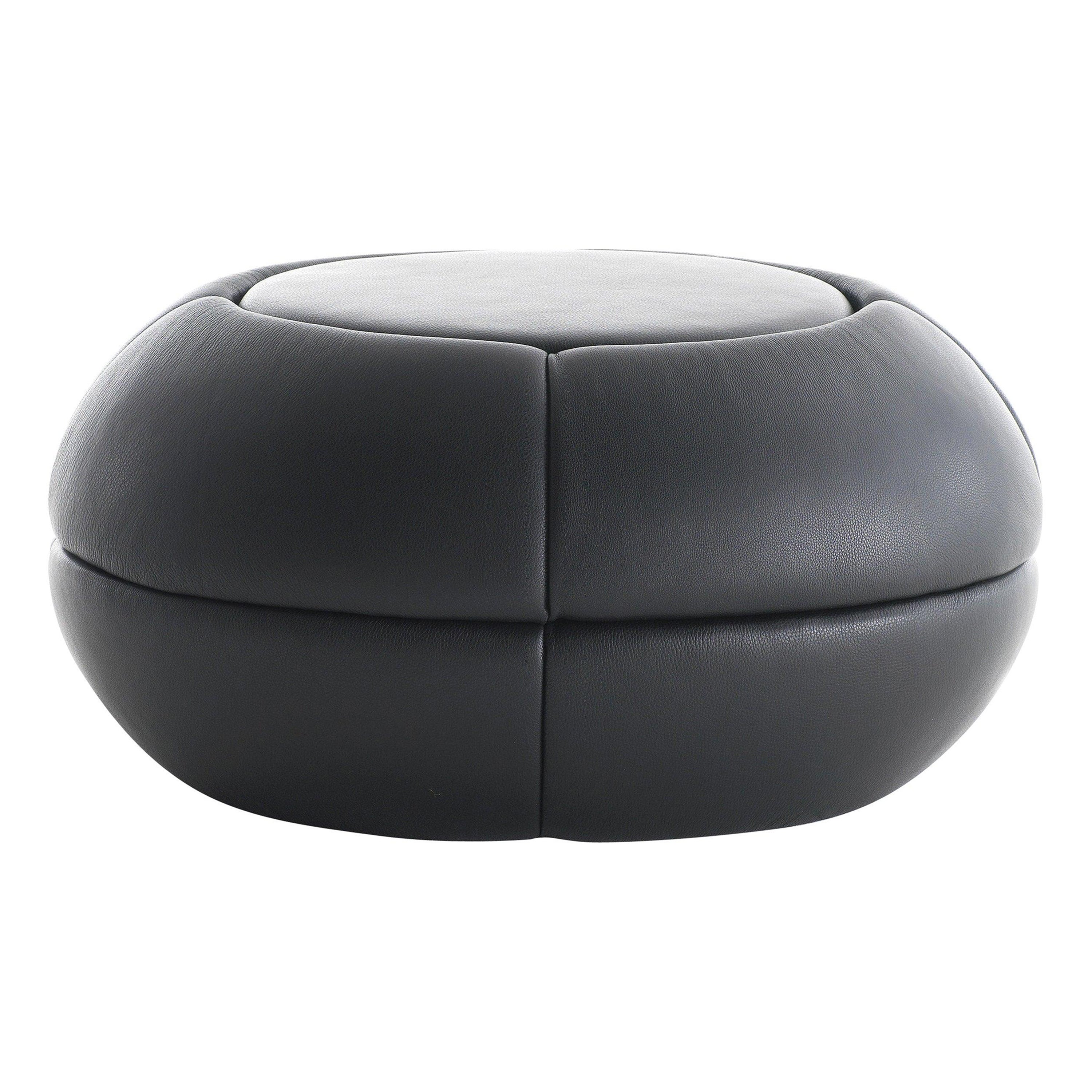 Customizable De Sede Swivel Lounge Chair with Tilt by Hugo De Ruiter ...