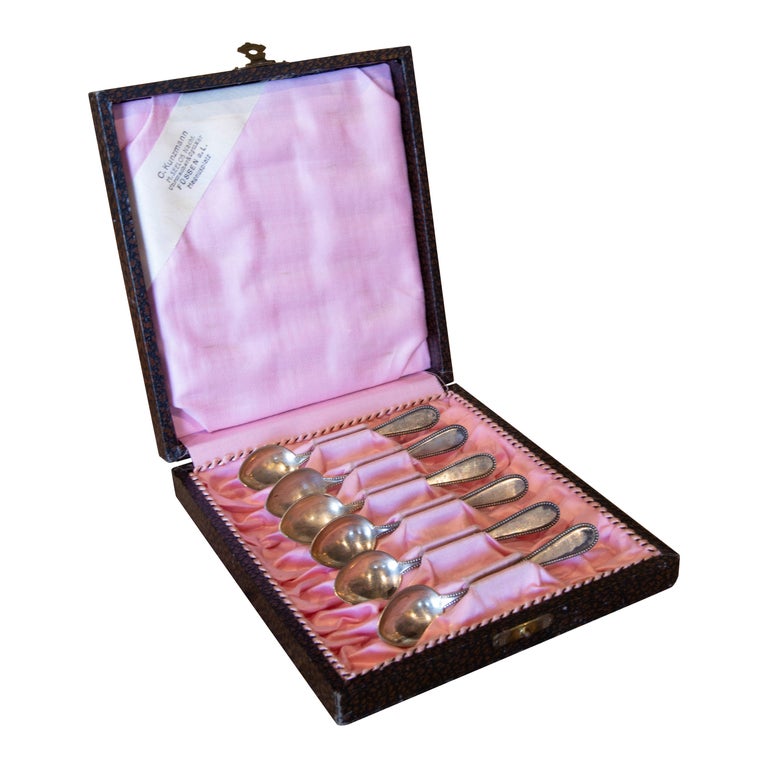 German Set of Six Silver Spoons in Case For Sale at 1stDibs
