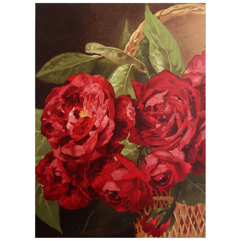 Original Antique Botanical Print- Roses, Arnold, circa 1860 For Sale at ...