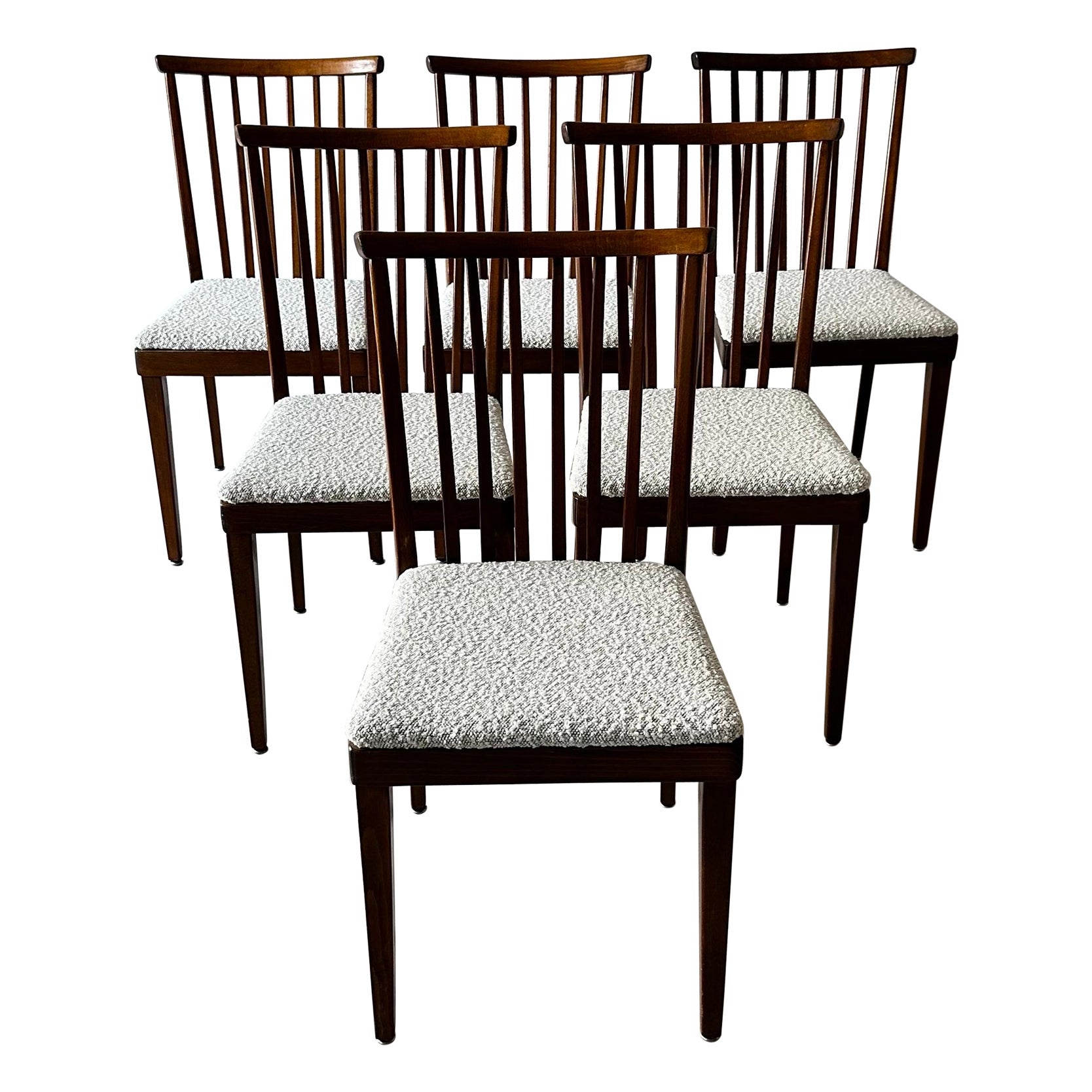 Mid-Century Modern Vintage Set of Four Dining Chair Roland Rainer, 1952 ...
