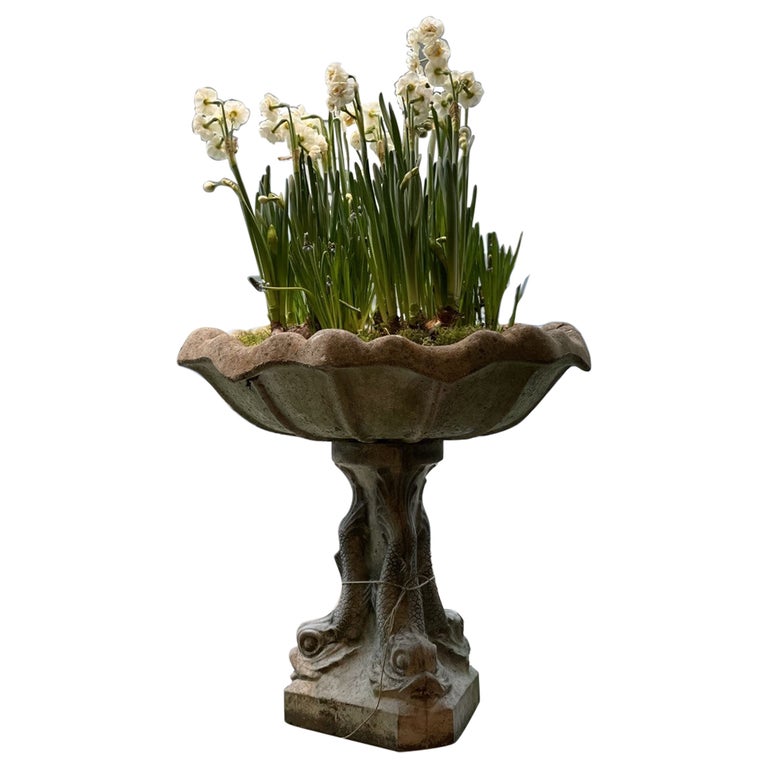 Lovely Raised Decorated Weathered Planter-Jardinière, France For Sale ...
