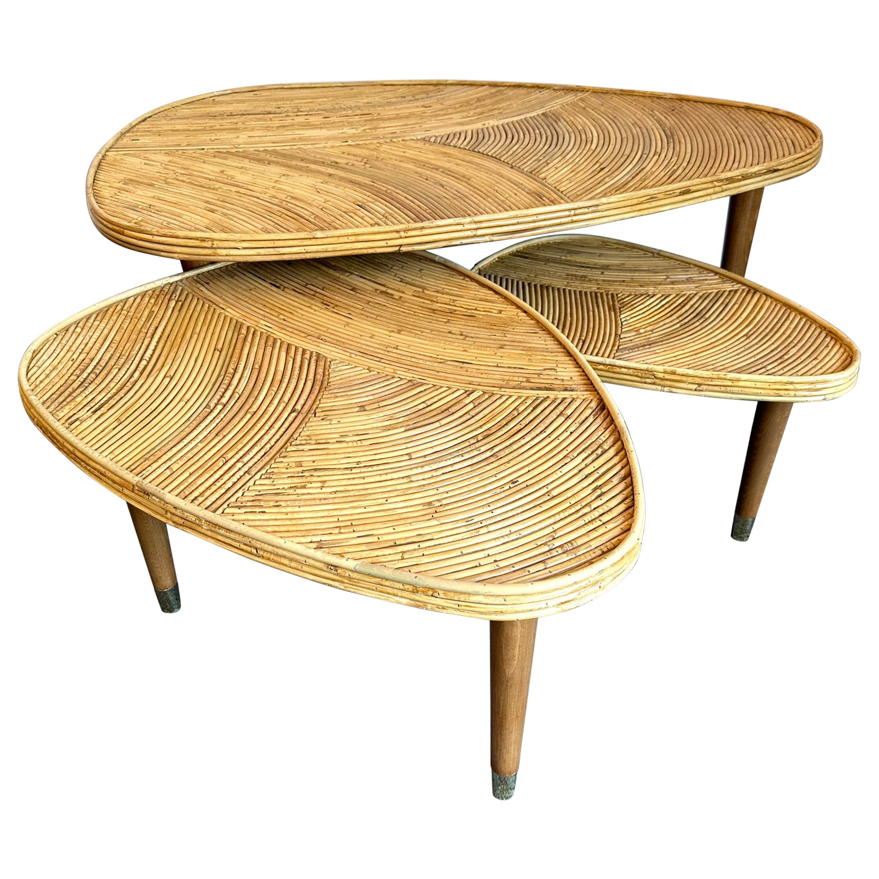 Set of 3 Cosmos Nesting Coffee Tables in Shagreen, Shell and Brass R&Y ...