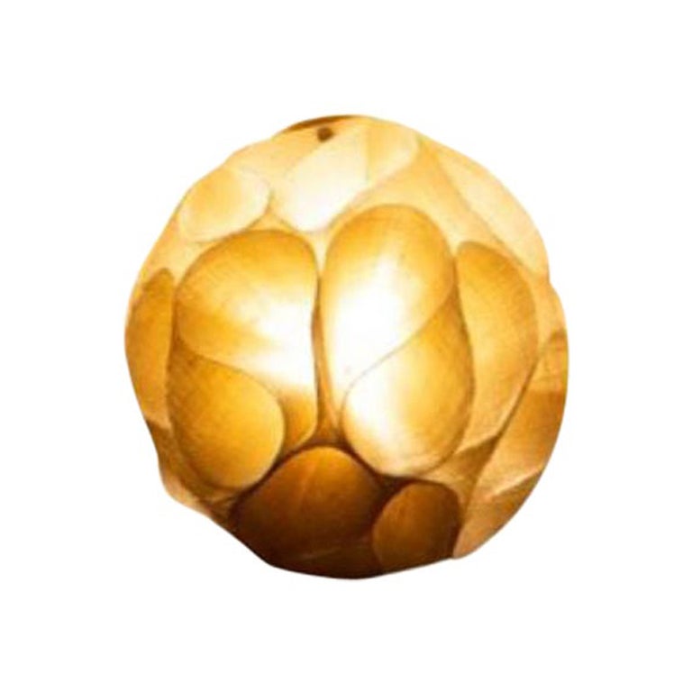 Tremella Wall Sconce / Ceiling Hung by Sashi Malik For Sale at 1stDibs