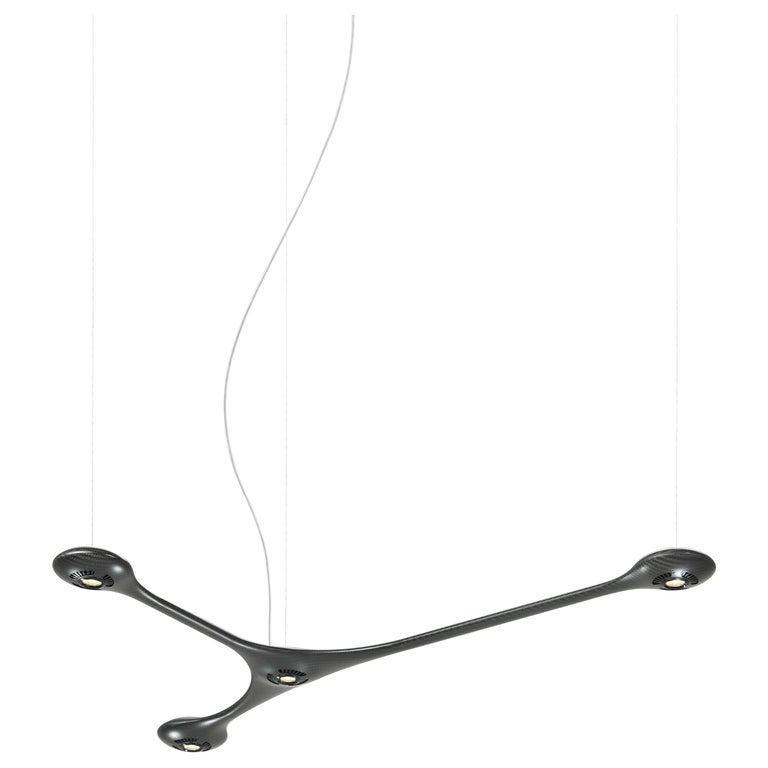 CARB-04 Carbon Ceiling Light by Tokio For Sale at 1stDibs