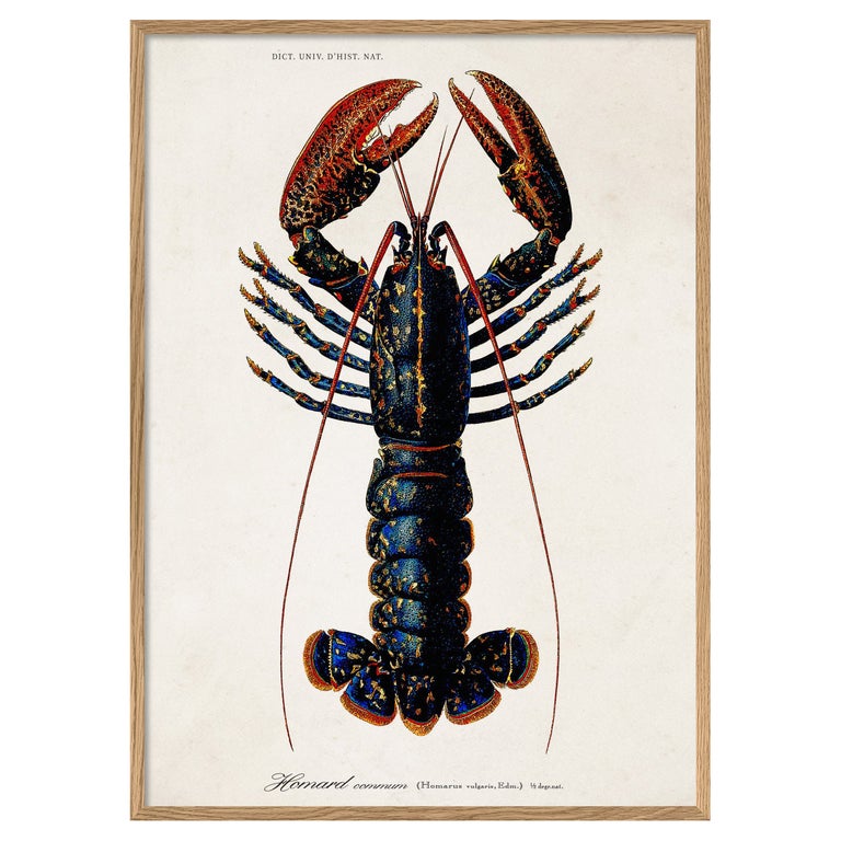 Beautiful Lobster Photo Print with Oak Frame For Sale at 1stDibs