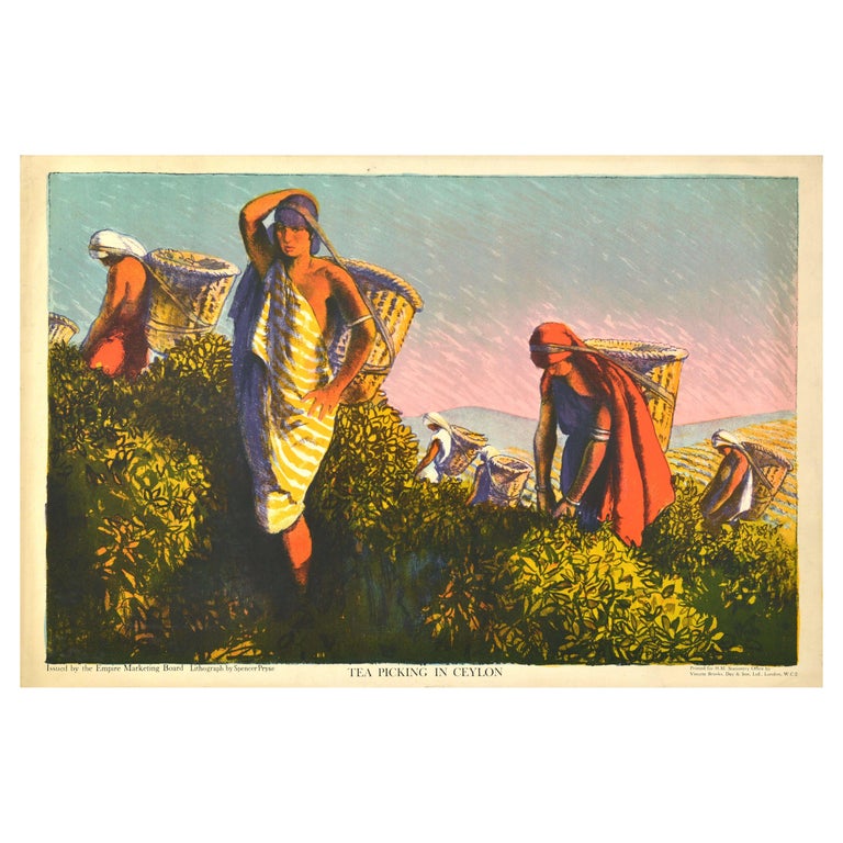Original Antique Poster Tea Picking In Ceylon Sri Lanka Empire ...