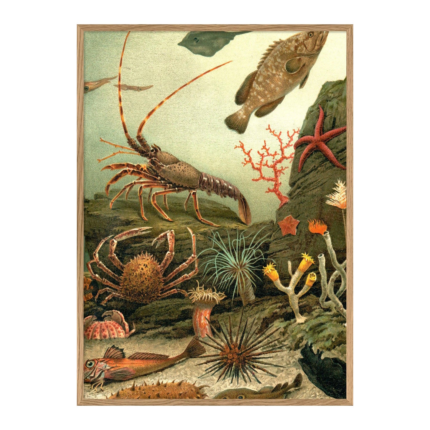 Beautiful Framed Drawing Print of "Aquarium Right Side" For Sale at 1stDibs