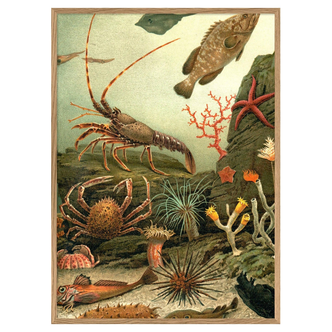Beautiful Framed Drawing Print of "Aquarium Left Side" For Sale at 1stDibs