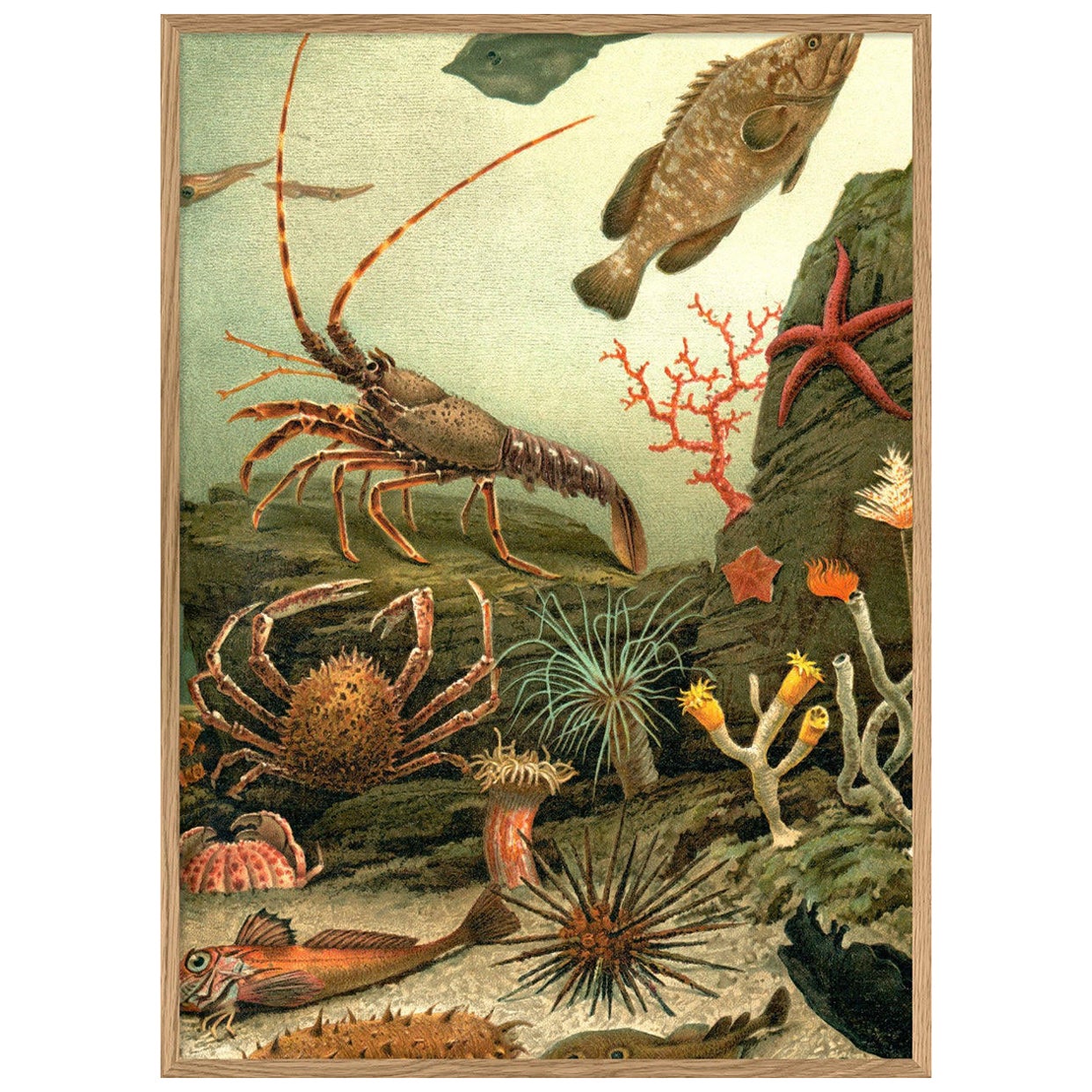 Beautiful Framed Drawing Print of "Aquarium Right Side" For Sale at 1stDibs