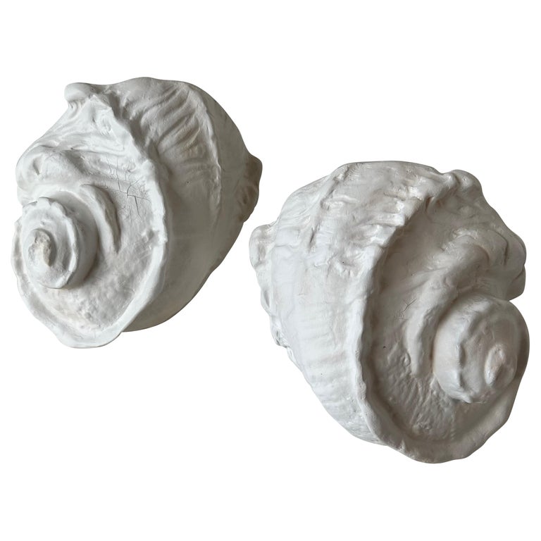 Pair Of “Conch” Plaster Sconces in the Style of Serge Roche For Sale at ...