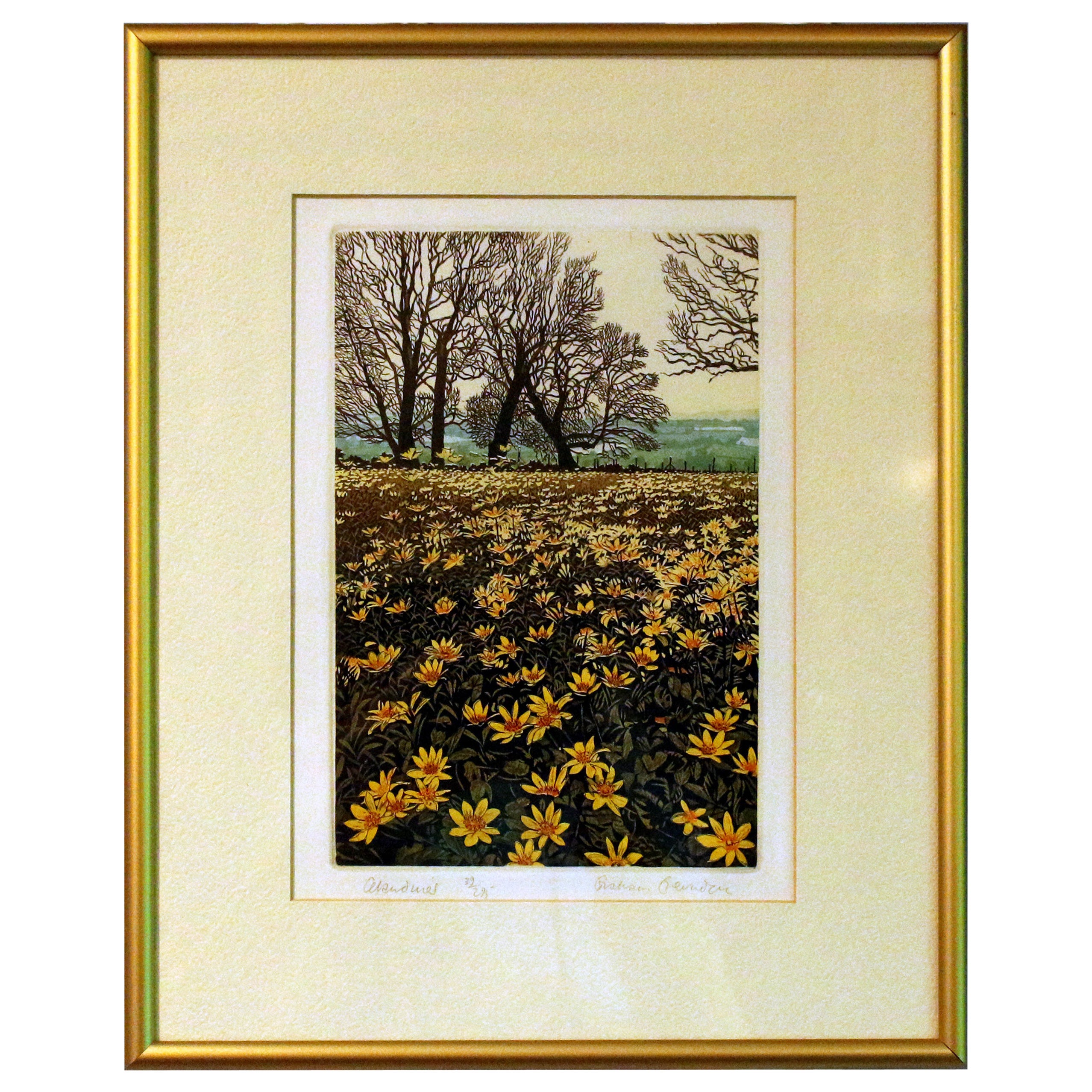 1986 Etching "Field Daisies" by Graham Evernden, #135 of 295 For Sale ...
