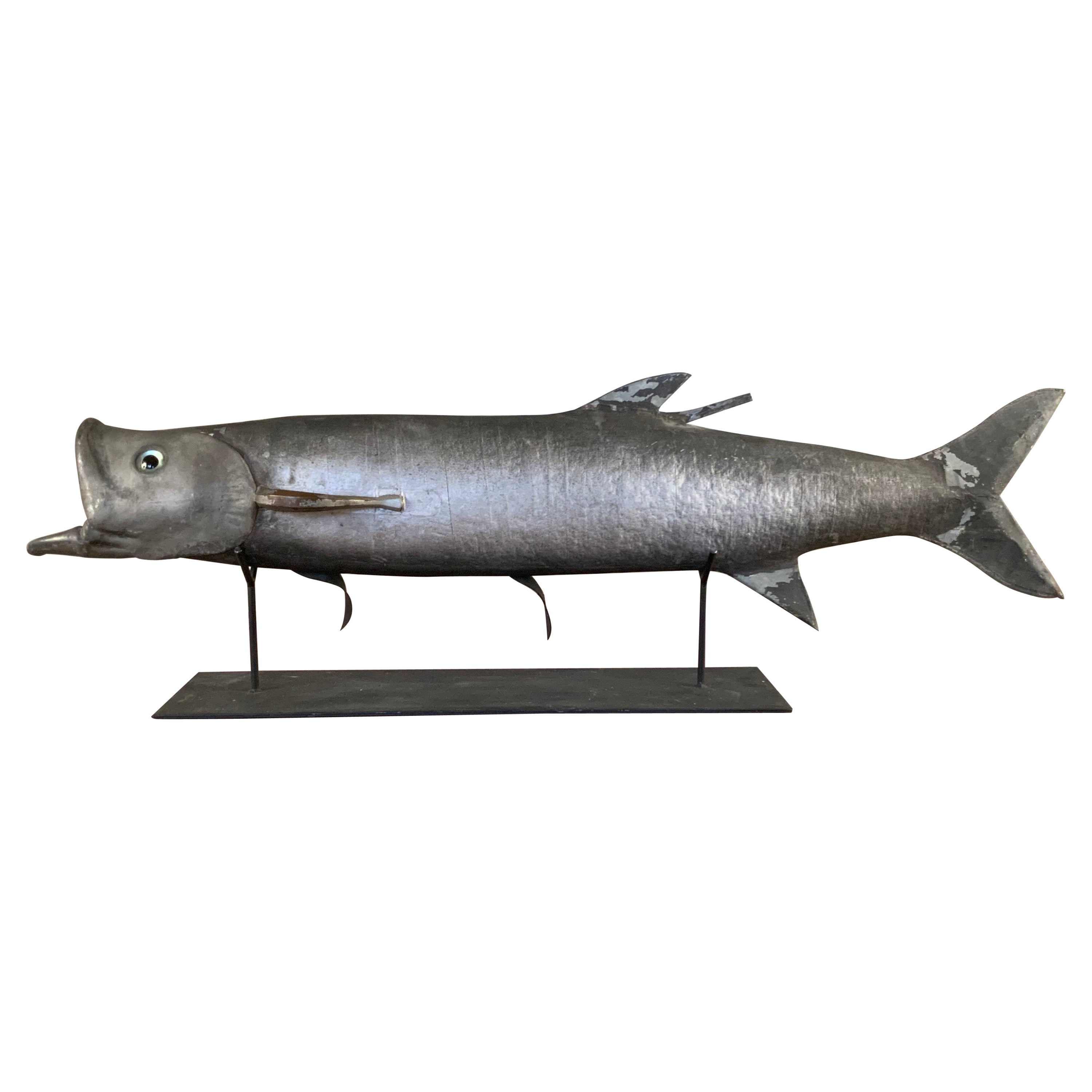 1950s Mounted Tarpon Photographers Model at 1stDibs